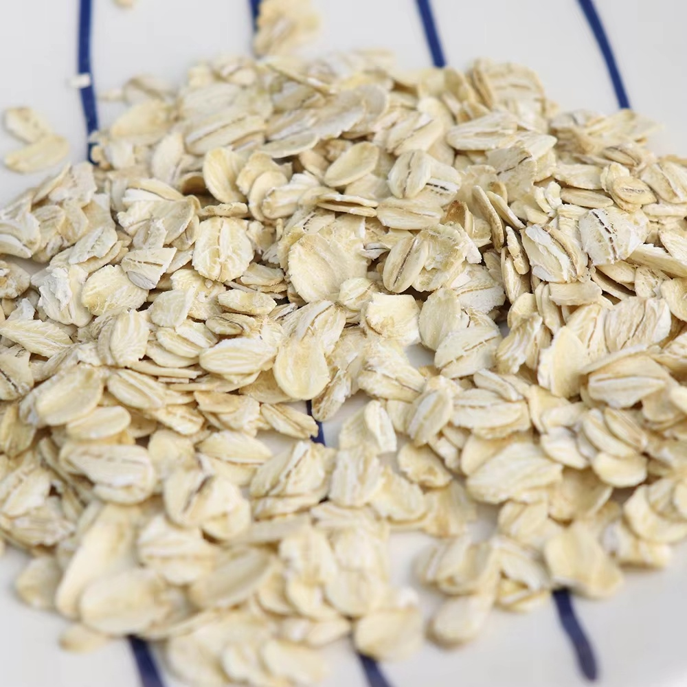 Buy Instant Oat Food Replacement Powder from Markco Polo Enterprise Pty ...
