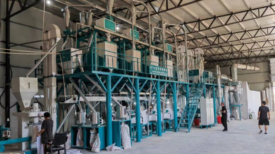 Buy Wheat Flour Milling from SHNAGHAI LETING TECHNOLOGY CO.,LTD, China ...