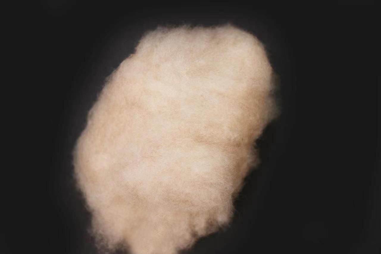 Buy Dehaired Yak Fibre Tibetan Yak Down 18.5micron from SG CASHMERE ...