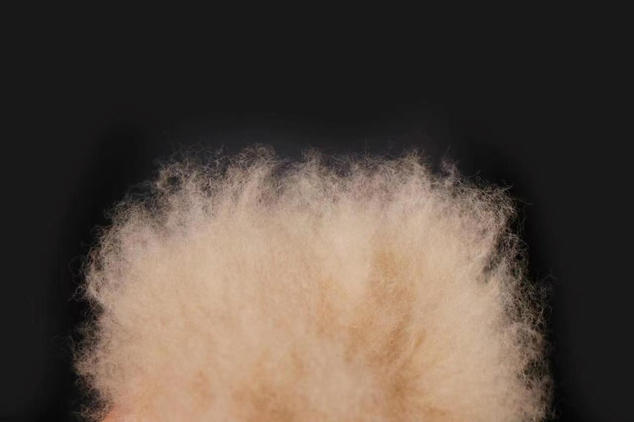 Buy Dehaired Yak Fibre Tibetan Yak Down 18.5micron from SG CASHMERE ...