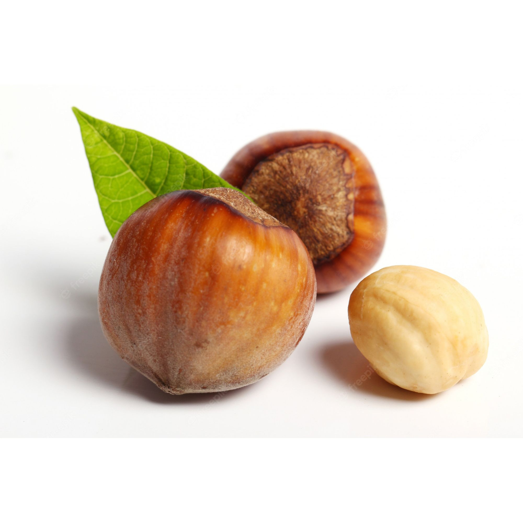 Buy Factory Direct Hazelnuts Fast Dispatch from Afrivet Trading ...