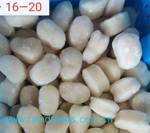 Buy Frozen Pan Shell Scallop Meat from Hand Foods (Dalian) Co., Ltd ...