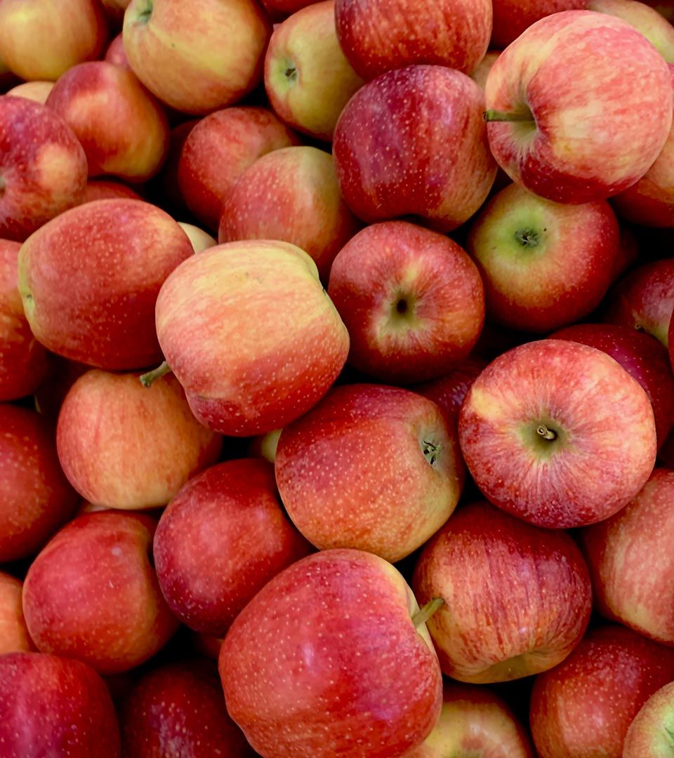 Buy Best Selling Fresh Fuji Apples Grade A from Bright Future ...