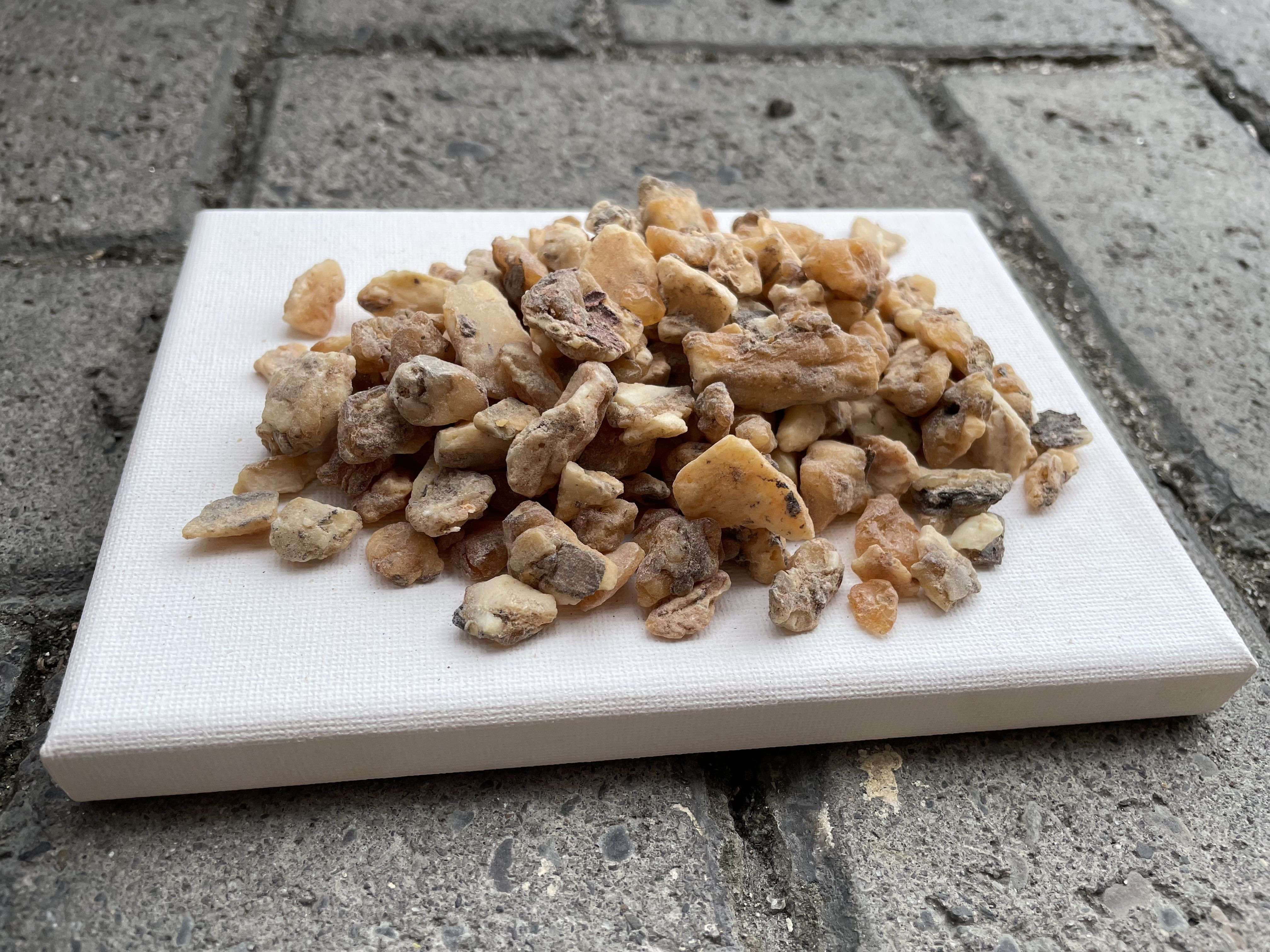 Buy Benzoin Sumatra (grade B-1) from Toba Wira Agrindo, PT, Indonesia ...