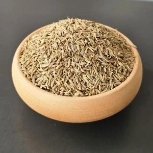 Buy Cumin Seeds from ALBORZ HERBS, Iran | Tradewheel.com