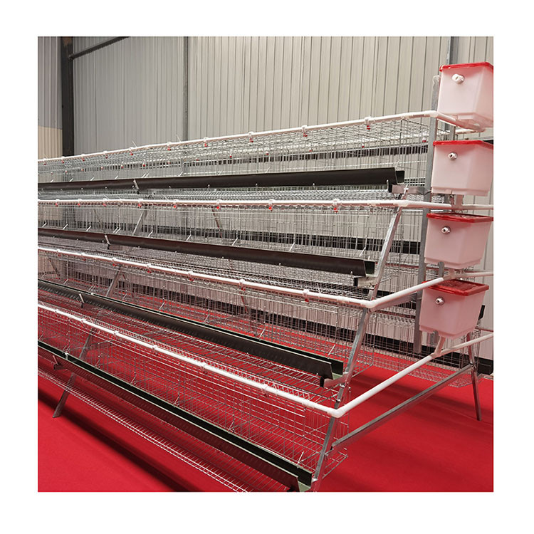 Buy A Type Layer Cage Frame Layer Chicken Cage System Price In Pakistan ...