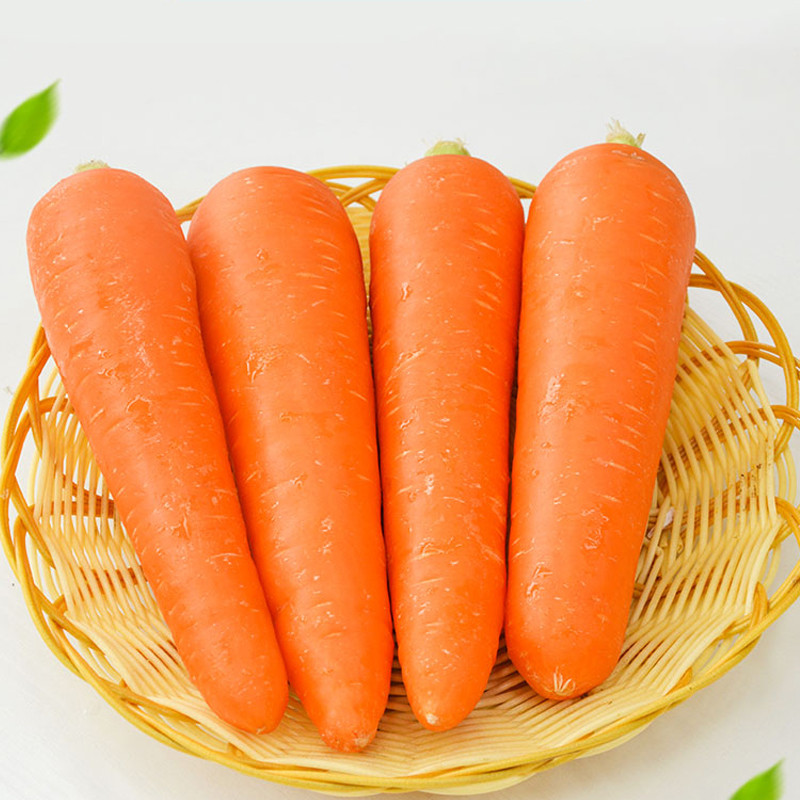 Buy China Fresh Carrot 200g Big Size from Gansu Sheng'an Shijijiayuan ...