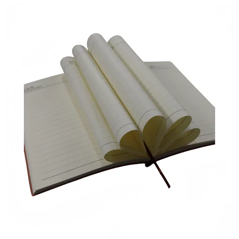 Buy Diary Printing Pages Writing Yearly Planner Journal Notebooks ...