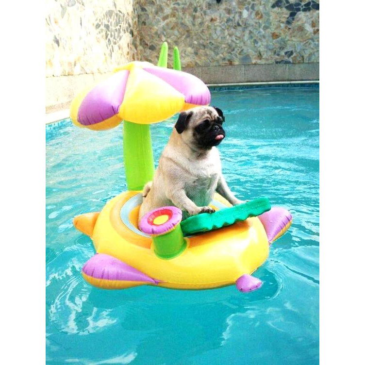 Buy Dog Pool Float Inflatable Ride On Paw Raft For Pets Swimming from ...