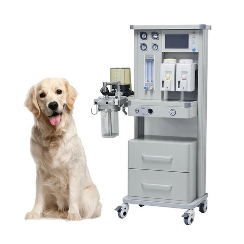 Buy Pet Medical Anesthesia Ventilation Machine Animal Portable ...