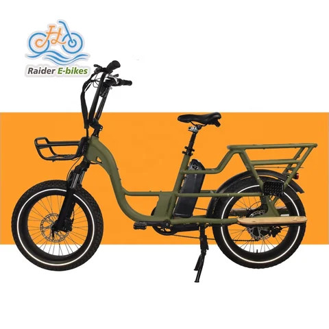 Buy Raider Cargo Bike Factory Bicicleta Electrica 750w48v 10ah Fat Tire ...