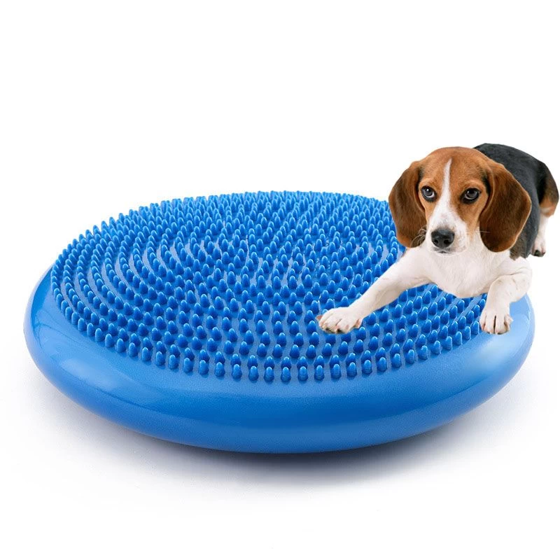 Buy Stability Yoga Pilates Balance Inflatable Workout Massage Balance ...