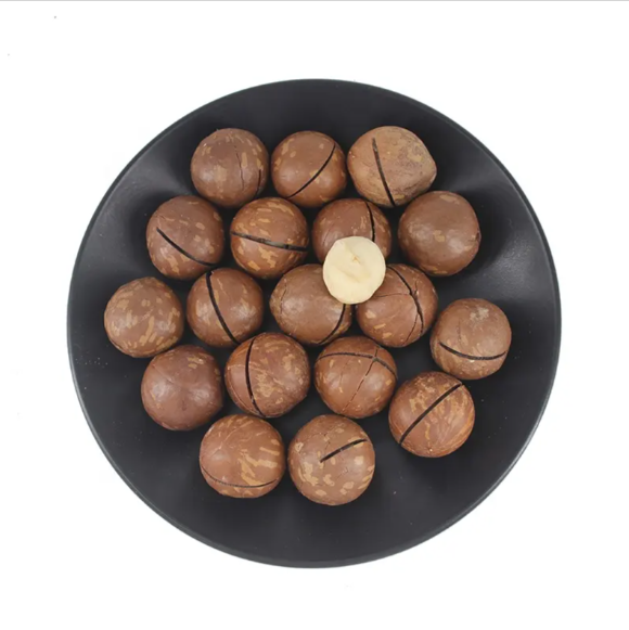 Buy Raw Organic Bulk Nuts Macadamia Nuts Wholesales Roasted Macca ...