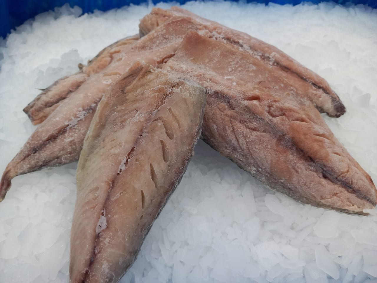 Buy Frozen Fillet Sardine from SOTRAGEL, Morocco | Tradewheel.com