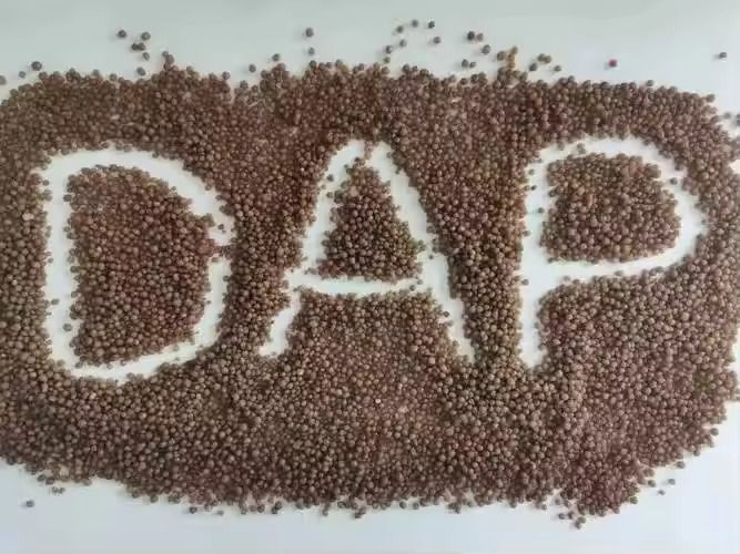 Buy Dap 18-46-0 Fertilizer – Premium Ammonium Phosphate | Dark Brown ...