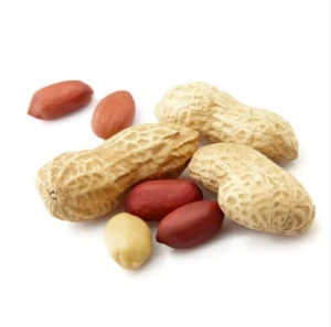 Buy Peanuts Peanut High Quality Raw Peanuts Without Shell Raw Peanuts ...