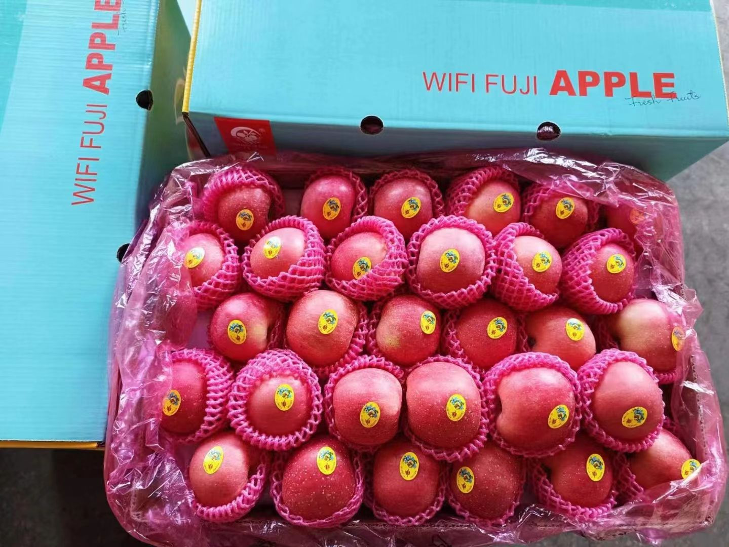 Buy Organic Fruit Fresh Fuji Apple from Chongqing Maxwell Trading Co ...