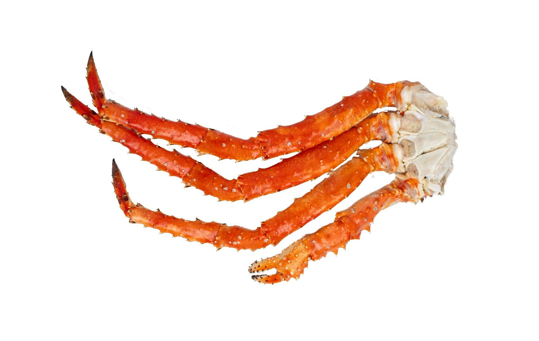 Buy King Crab from Royal Delicious Fish Trading Co. L.L.C, United Arab ...