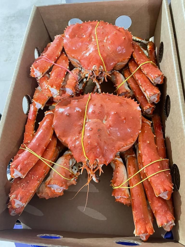 Buy King Crab from Royal Delicious Fish Trading Co. L.L.C, United Arab ...
