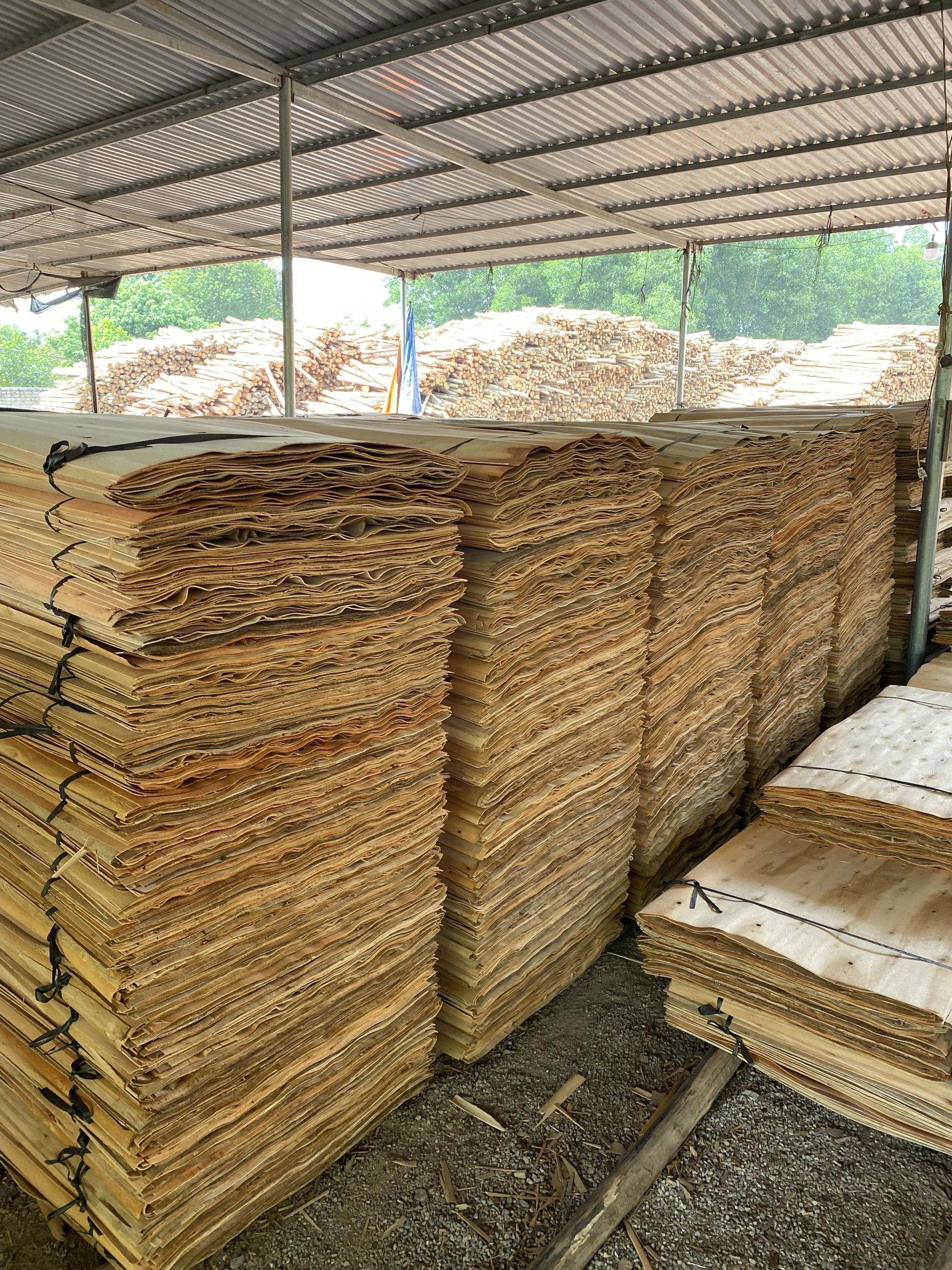 Buy Acacia/eucalyptus Core Veneer from VIETNAM TNK COMPANY LIMITED ...
