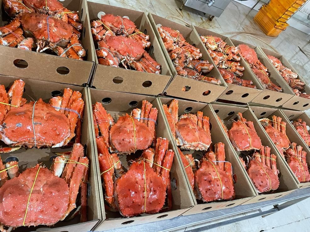Buy King Crab from Royal Delicious Fish Trading Co. L.L.C, United Arab ...