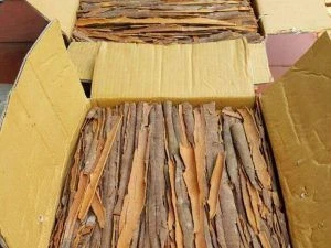Buy Split Cassia from Cinnamon in Vietnam, Vietnam | Tradewheel.com