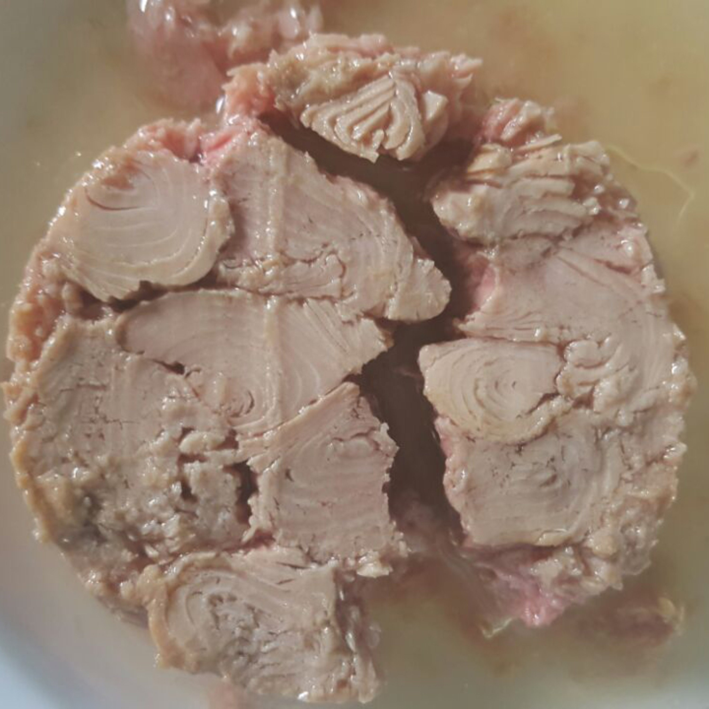 Buy 160g Canned Tuna from TAN PHAT FOODS CORPORATION, Vietnam ...