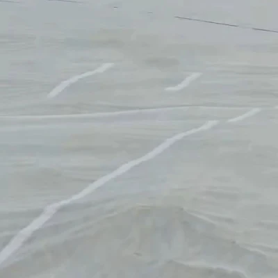 Buy 3% Uv Treated Pp Spunbonded Nonwoven Fabric Ground Cover from ...