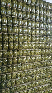 Buy Best Grade Baby Cucumber Preserved In Jar Packing from VIET NAM ...