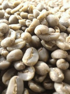 Buy Arabica Bajawa Green Bean from Comrade international group, China ...