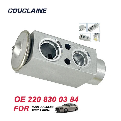 Buy Couclaine 2208300384 Auto Parts Ac Expansion Valve For Mercedes ...