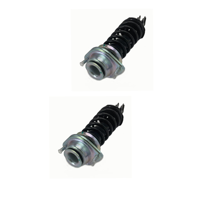 Buy Gas-filled Tension Coil Spring Suspension Shock Absorber For Car ...