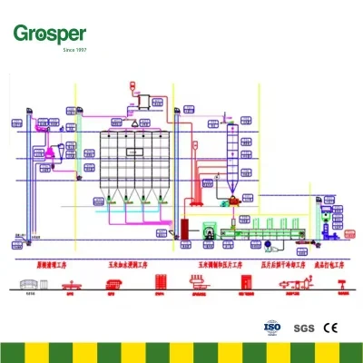 Buy Grosper Steam Corn Flakes Production Line 240tpd Steam Corn Flaking ...