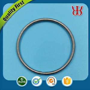 Buy Iso9001 Stainless Steel Interlock Oil Seal Spring Garter Spring ...