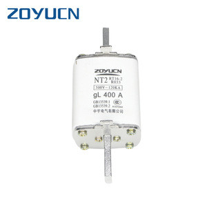 Buy Nt2-400a Low Voltage Cylindrical Fuse With Double Cap from Yueqing ...