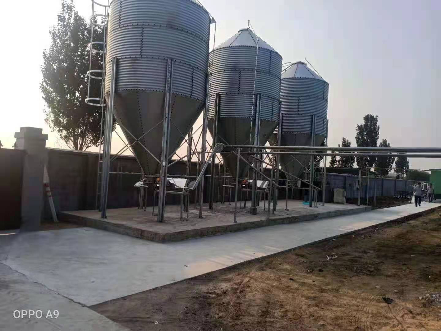 Buy Storage Feed Tower/silo Poultry/chicken/animal Husbandry Feeding ...