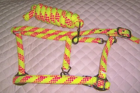 Buy Wholesale High Quality Dual Colors Head Collar Halter Made In India ...