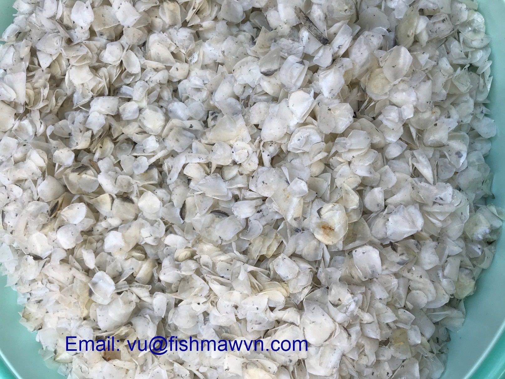 Buy Dried Fish Scales from Duong Vu int'l Co.,ltd, Vietnam | Tradewheel.com