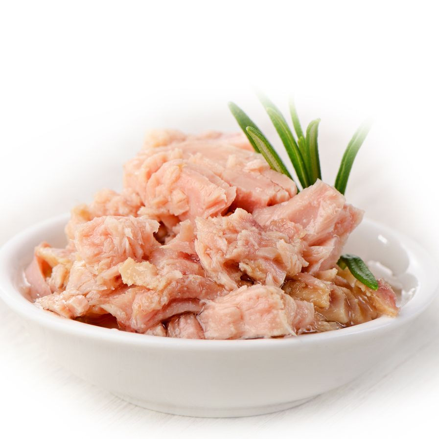 Buy Bulk Sale Canned Tuna High Quality Packed For Export Canned Tuna ...