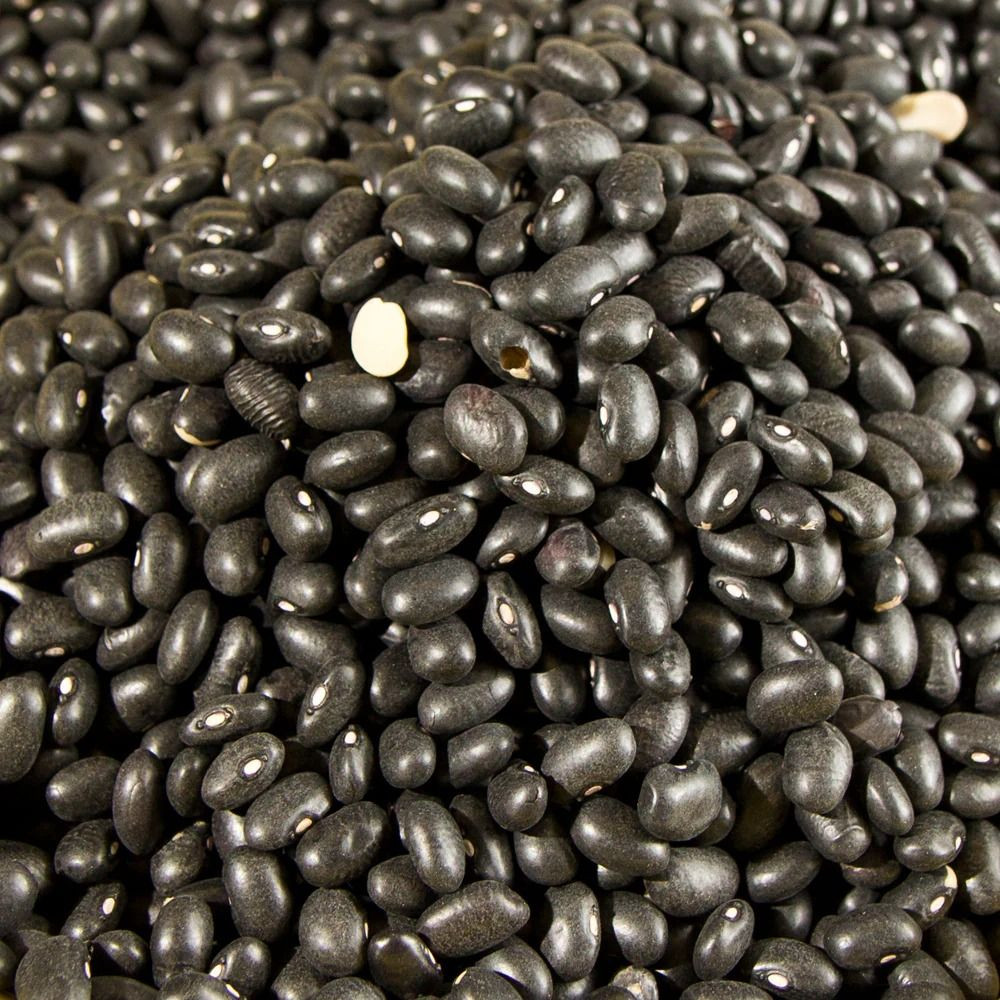 Buy Pure Black Bean Premium Bulk Black Bean Healthy Natural Fresh Bulk ...