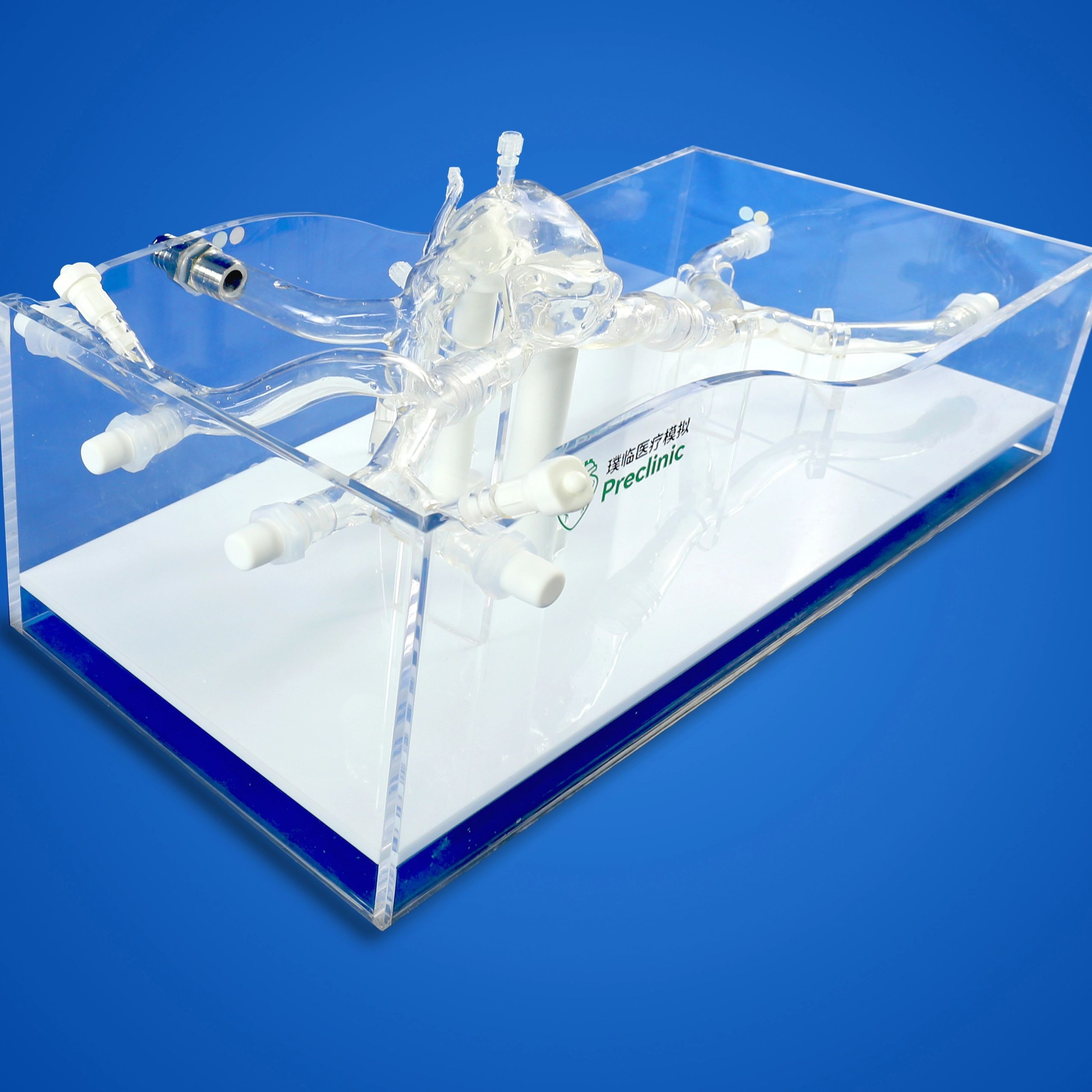 Buy Cardiac Veins Simulation Model (pacemaker Electrode Implantation ...