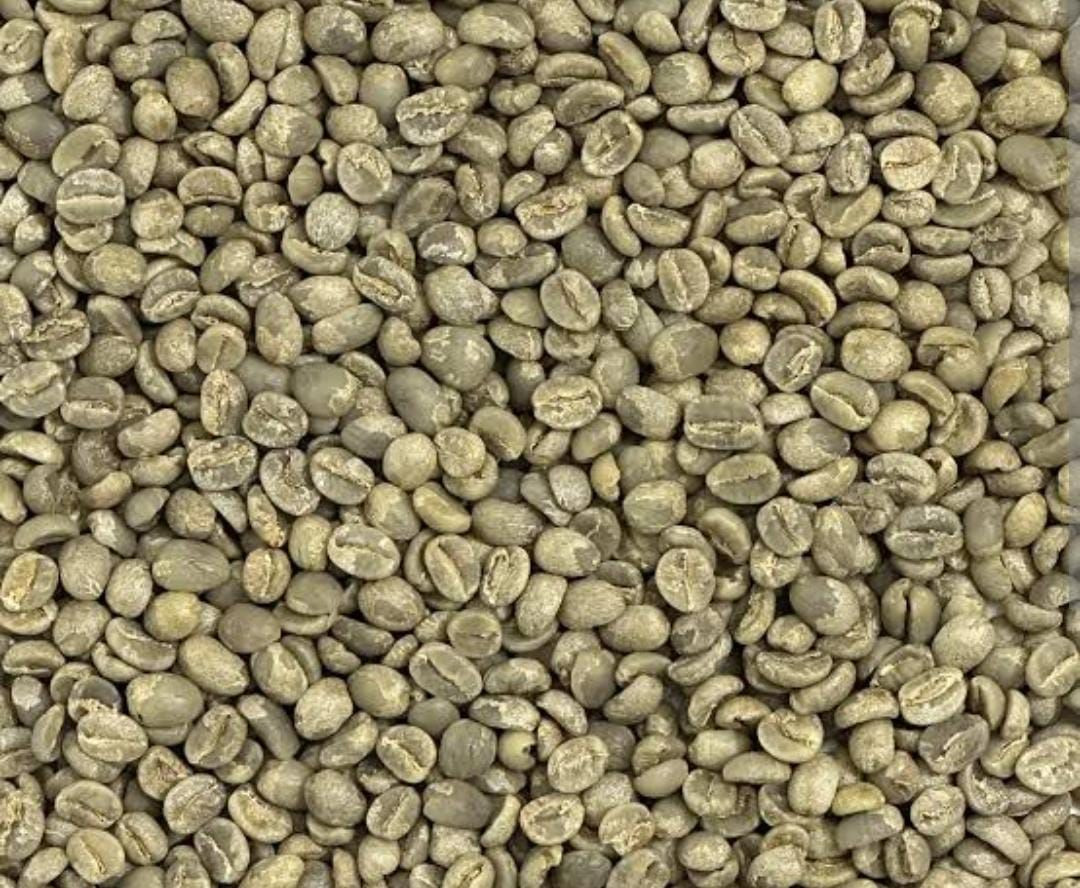 Buy Cocoa Seeds from Abadare coffee, Hong Kong | Tradewheel.com