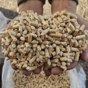 Buy Premium Pellets In 100% Enplus A1 Certified Spruce Fir Wood Pellet ...