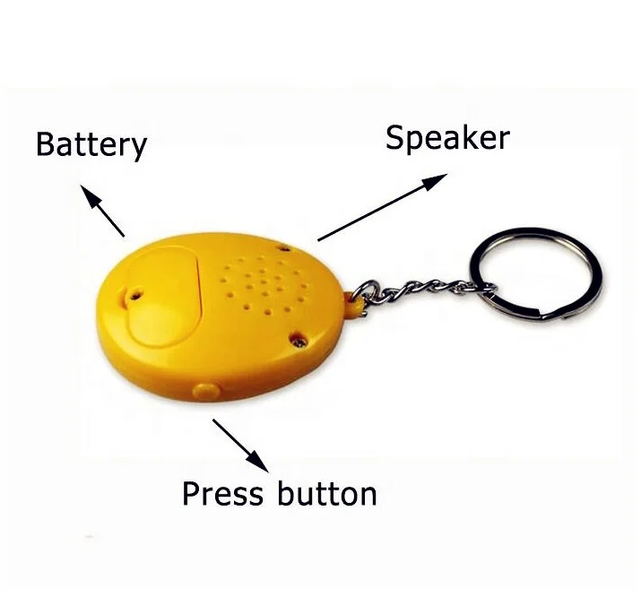 Buy Music Keychain Recordable Message Voice Record Keyring from ...