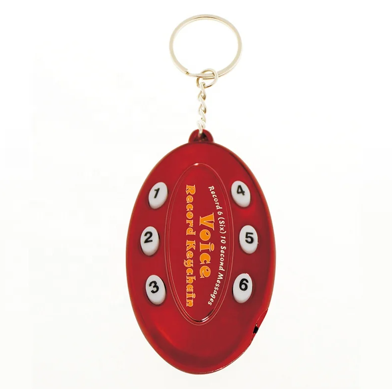 Buy Music Keychain Recordable Message Voice Record Keyring from ...