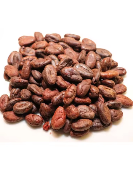 Buy Best Quality Sun Dried Cocoa Beans For Sale from Santosh Food Mart ...