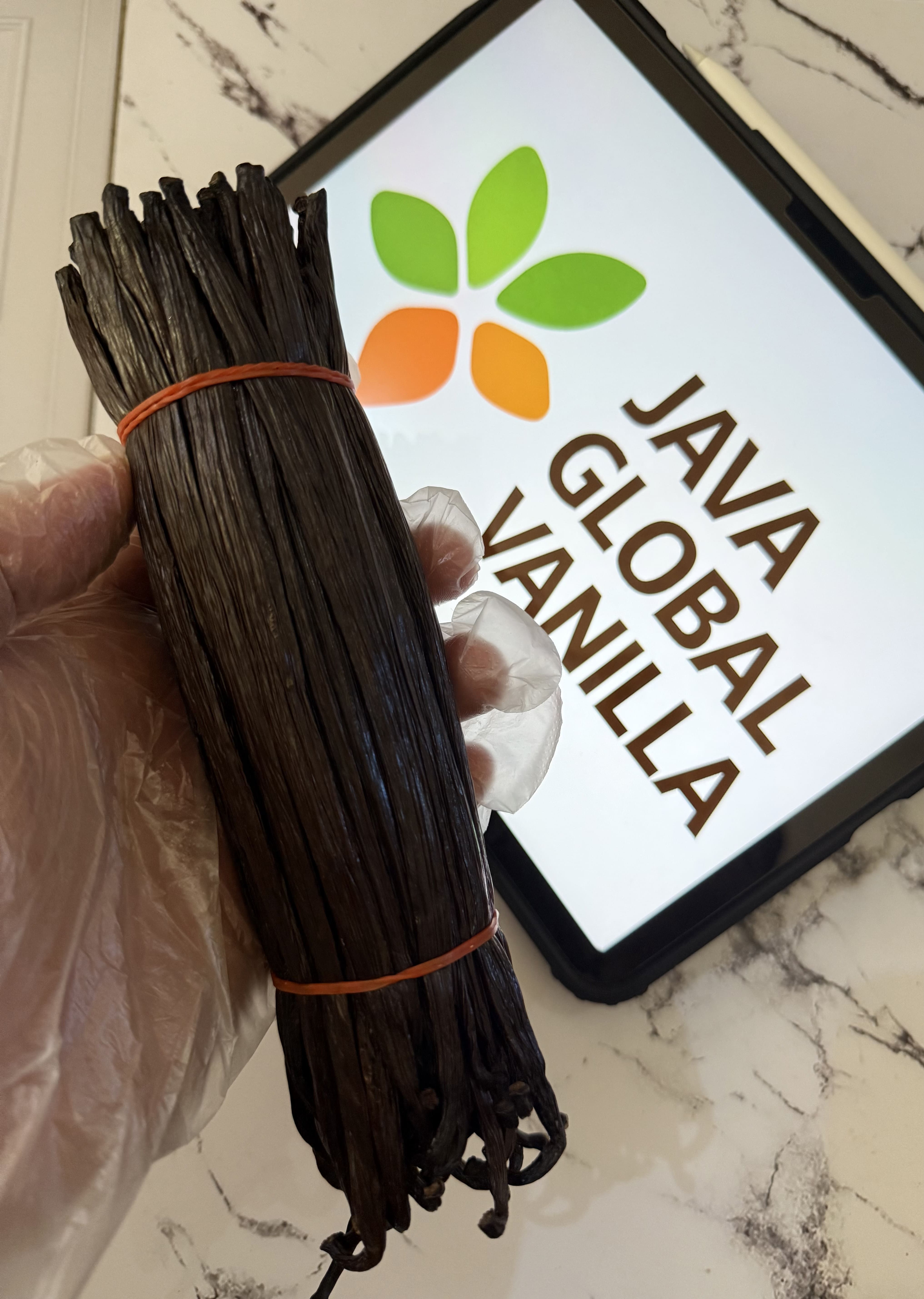 Buy Vanilla Beans - Planifolia Gourmet Grade from Java Global Vanilla ...