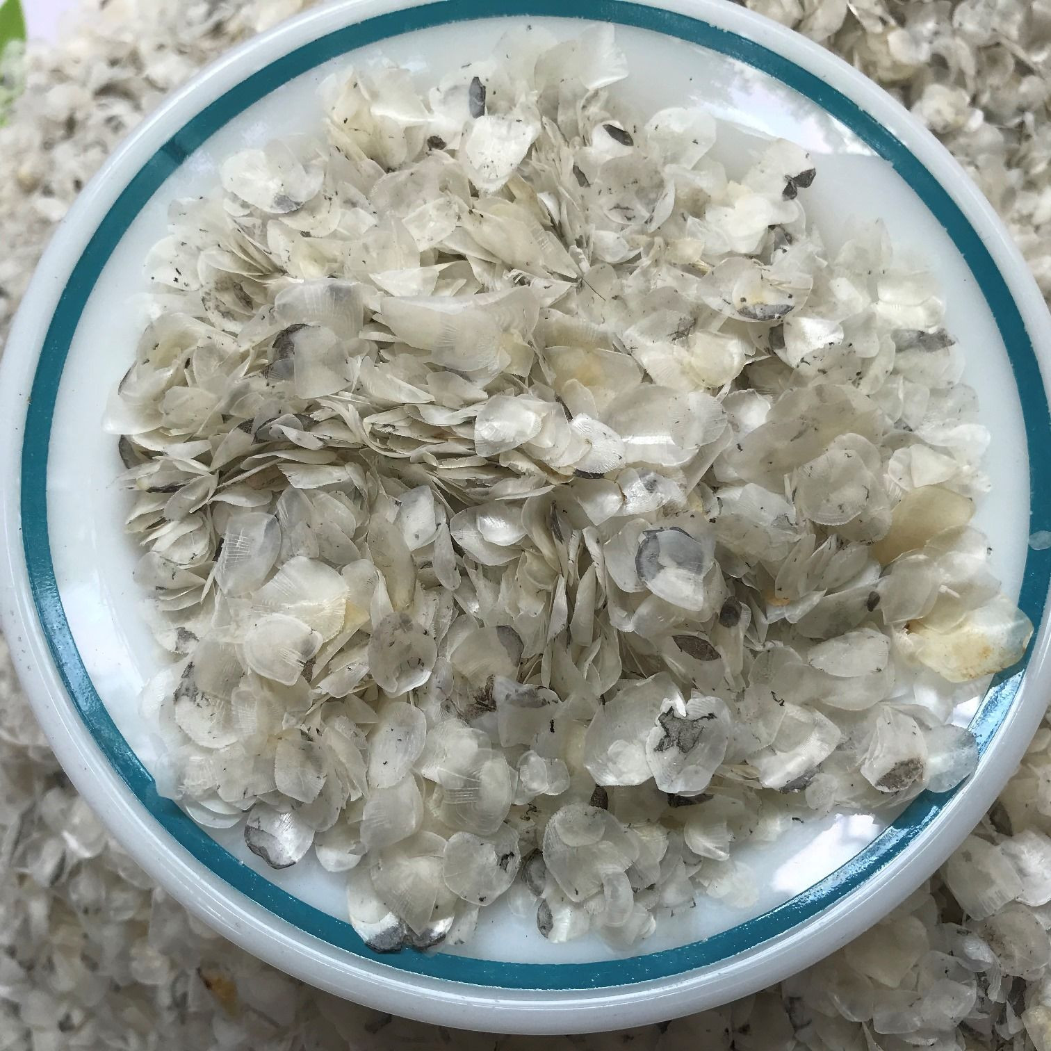 Buy Dried Fish Scales from Duong Vu int'l Co.,ltd, Vietnam | Tradewheel.com
