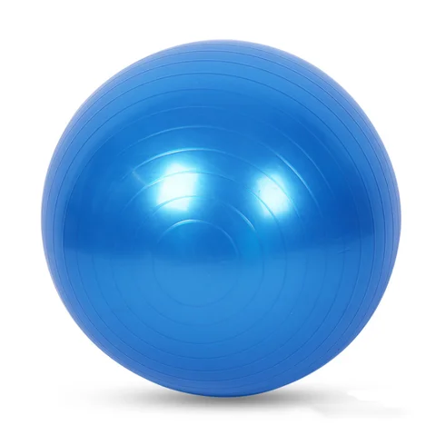 Buy 45cm 55cm 65cm Explosion-proof Pilates Balance Ball Exercise Gym ...