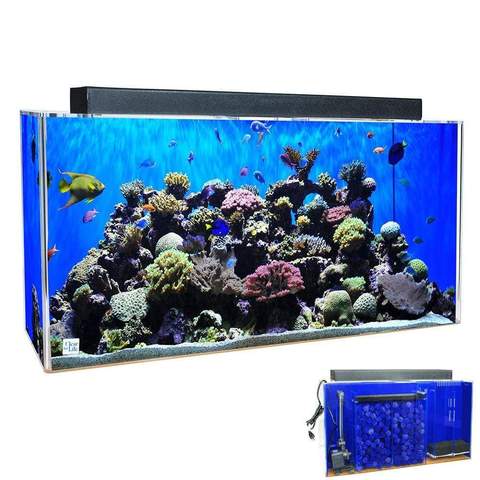 Buy Cylinder Acrylic Fish Aquarium Tank Sump Planter Led Large Glass ...